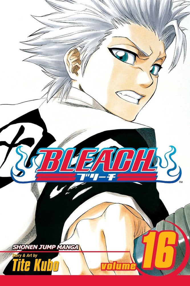 Bleach 16 | The Geeky Oasis